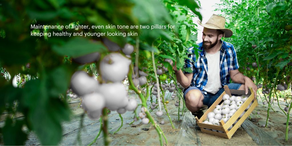 Shiro White Tomato Essence Drink – Bianco Labo